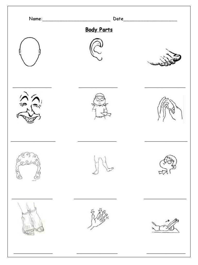Body Parts Worksheet Cut+stick | PDF