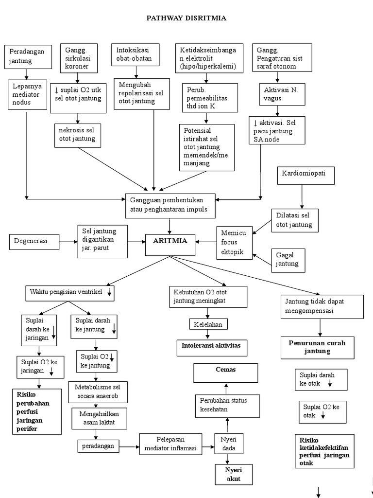 Pathway Aritmia | PDF
