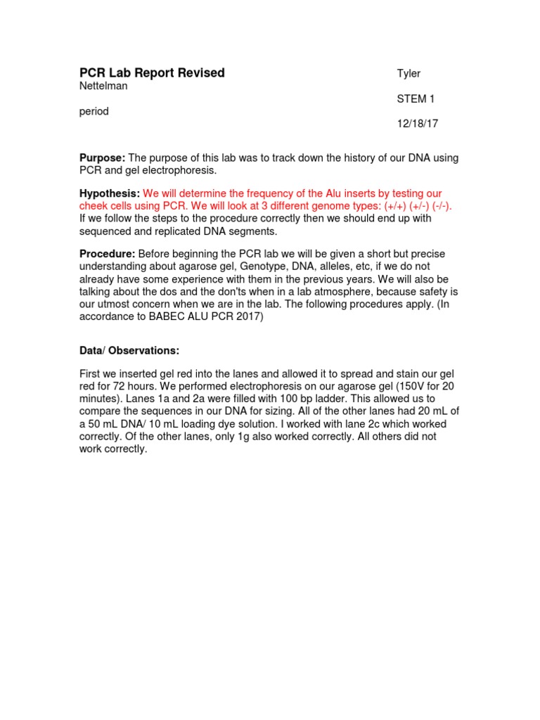 PCR Lab Report Revised by Tyler Nettelman | PDF | Gel Electrophoresis ...