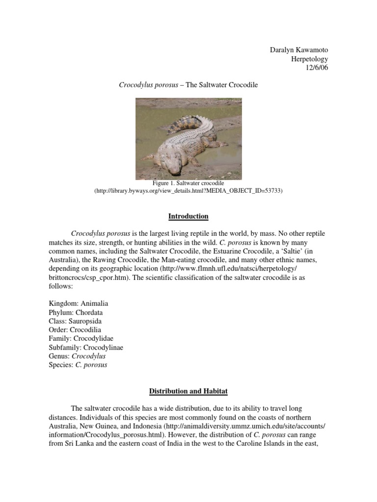Saltwater Crocodile PDF | PDF | Crocodile | Predation