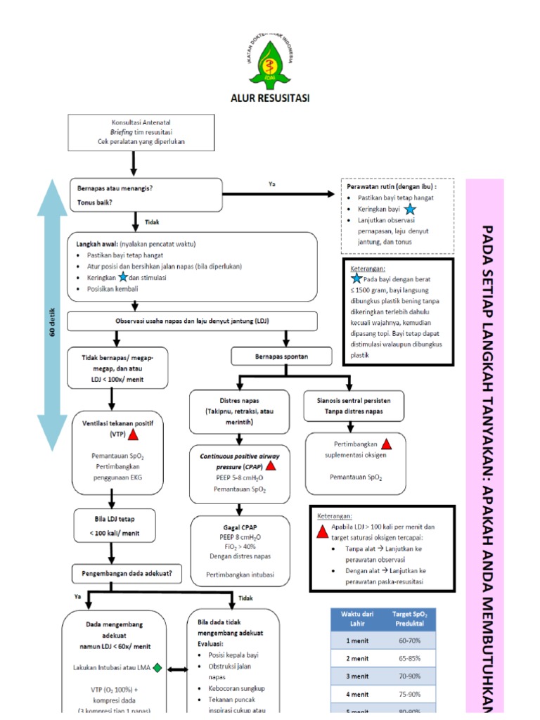Alur Resusitasi Neonatus | PDF