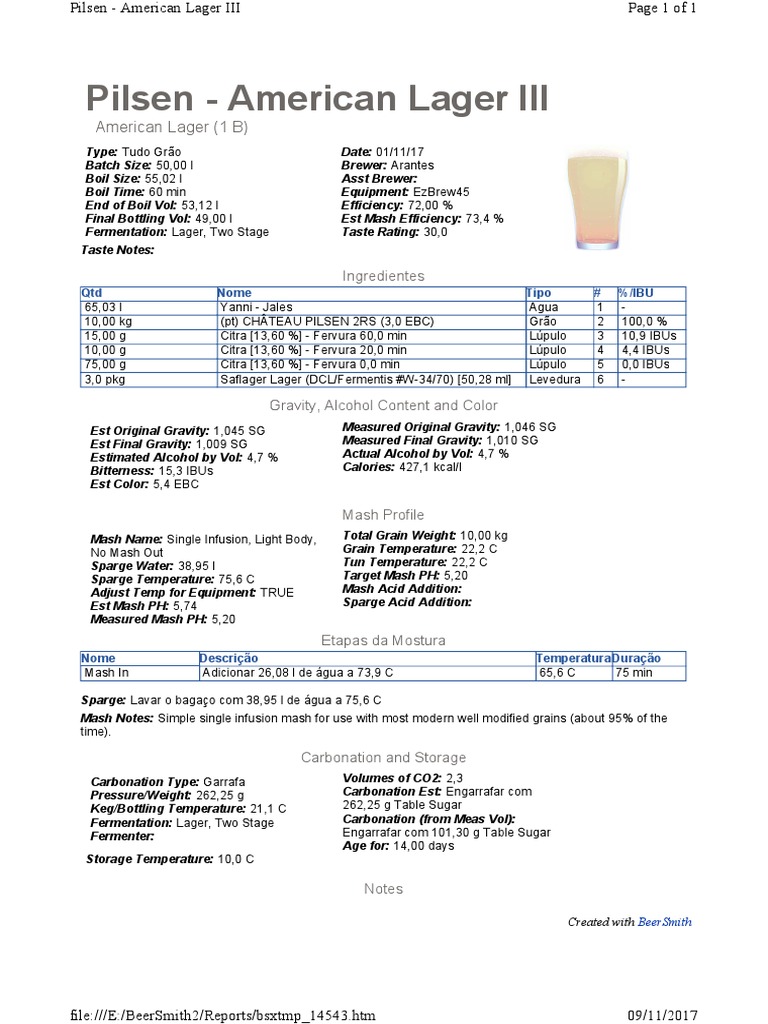 Am Lager II - 100gr Citra | PDF | Brewing | Alcohol