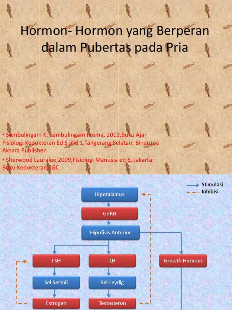 Hormon Yang Berperan Pada Pubertas Pria | PDF