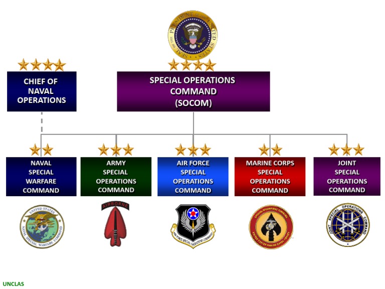 SOCOM Organizational Structure Overview | PDF | United States Special ...