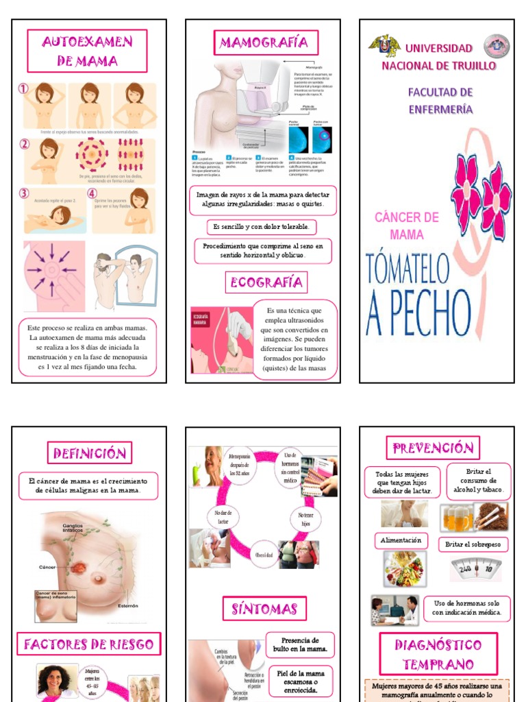 Cancer de Mama Triptico | Cáncer de mama | Cáncer