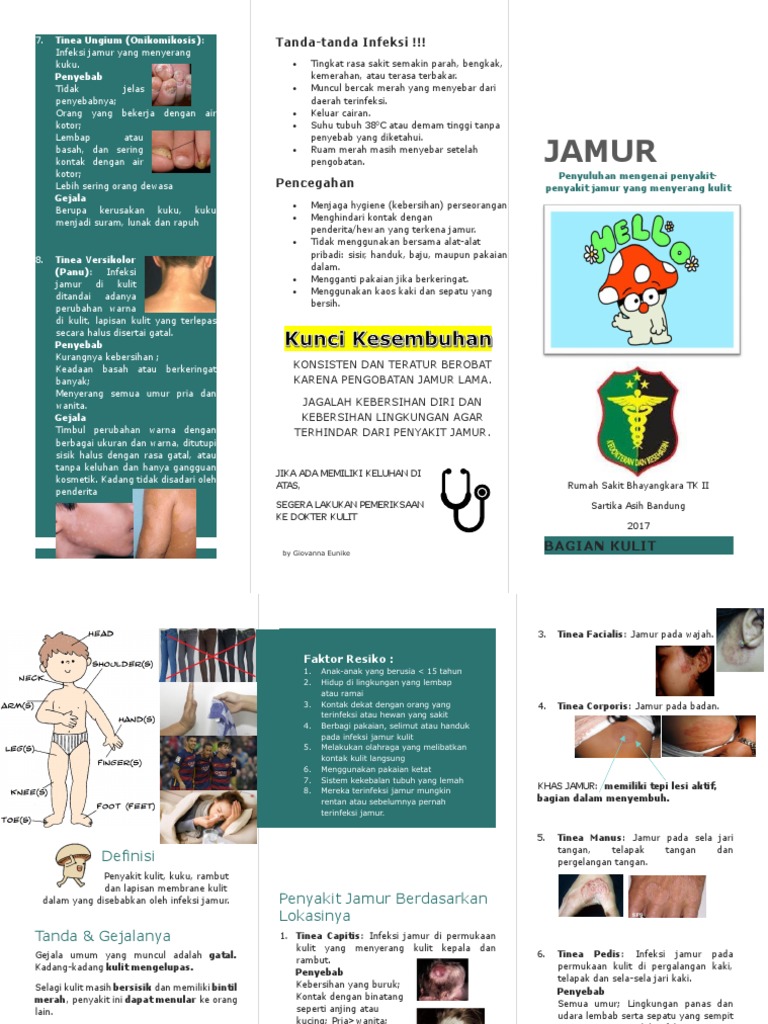 Leaflet Jamur | PDF