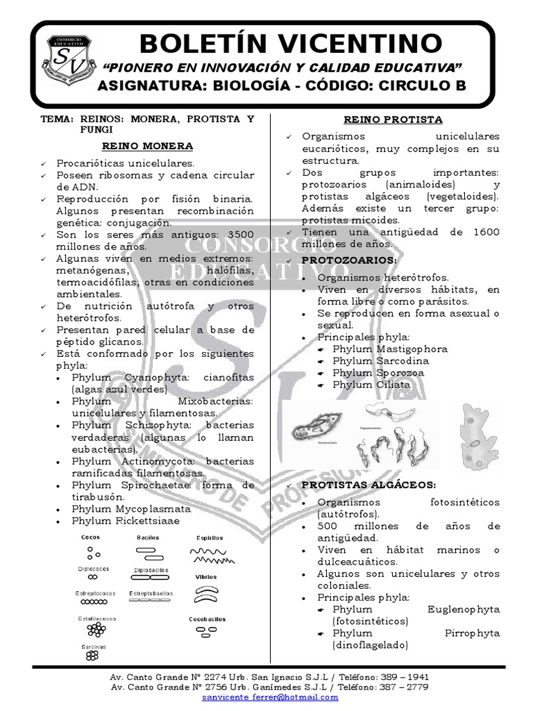 Biología Boletín 16 Circulo B Monera Protis Fungi | PDF | Algas | Hongo