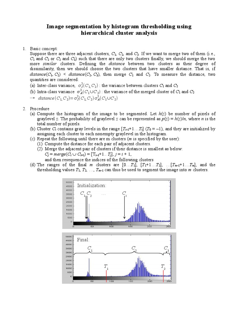 Image Segmentation by Histogram Thresholding Using Hierarchical Cluster Analysis | PDF