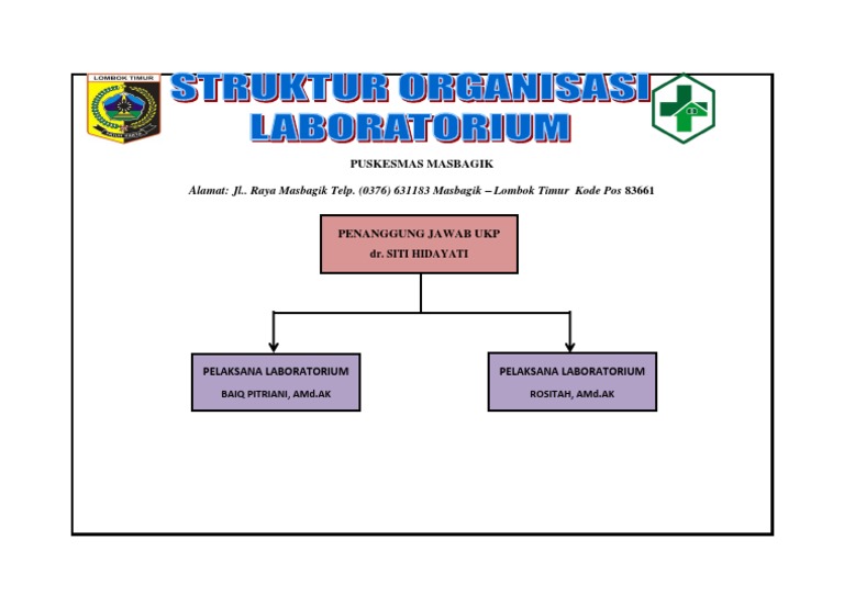 Struktur Organisasi Laboratorium | PDF