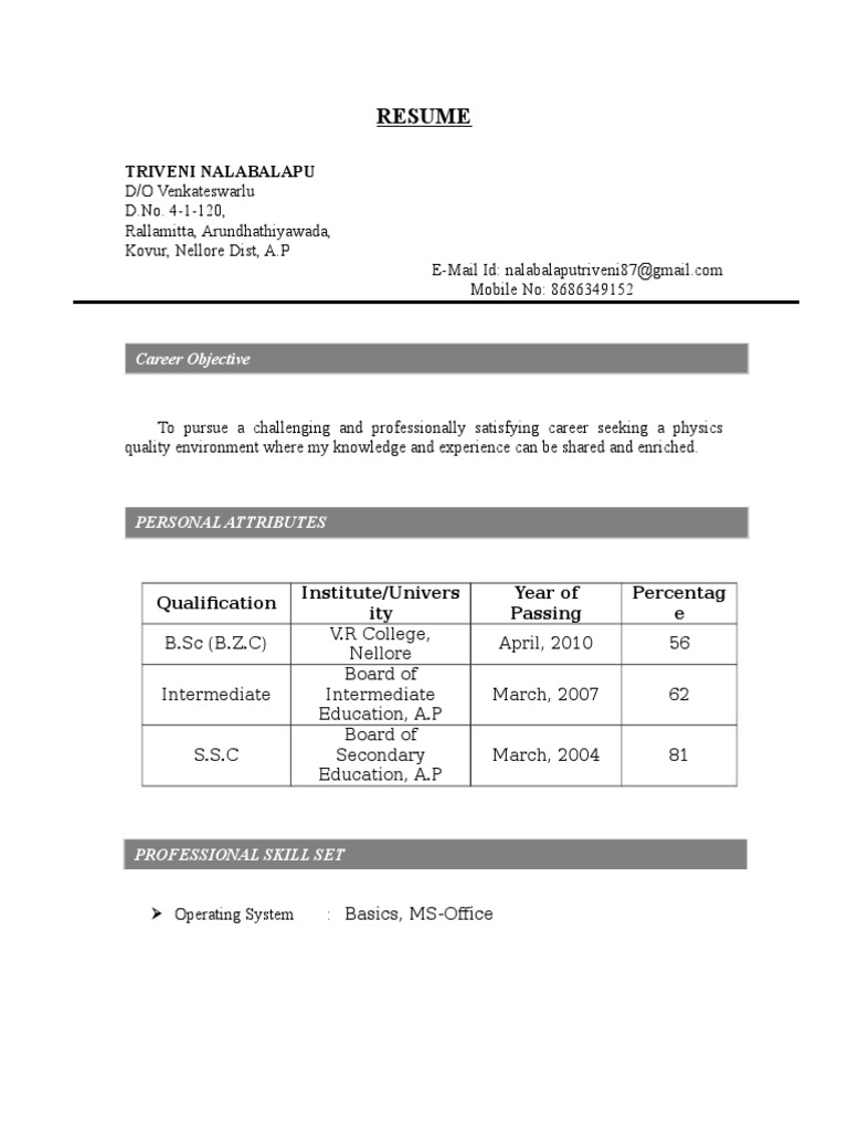 A Well-Rounded Resume Highlighting Relevant Skills and Experience | PDF