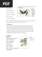 Bayam Duri (Amaranthus Spinosus L.) | PDF