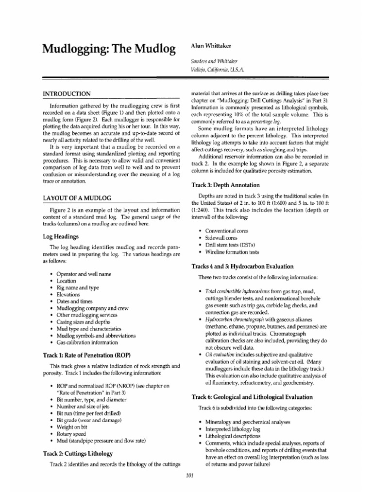 Mudlogging: The Mudlog: Alun Whittaker | PDF | Natural Gas | Fuel ...