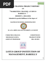 Mba Marketing Project Report | PDF | Advertising | Rolling (Metalworking)