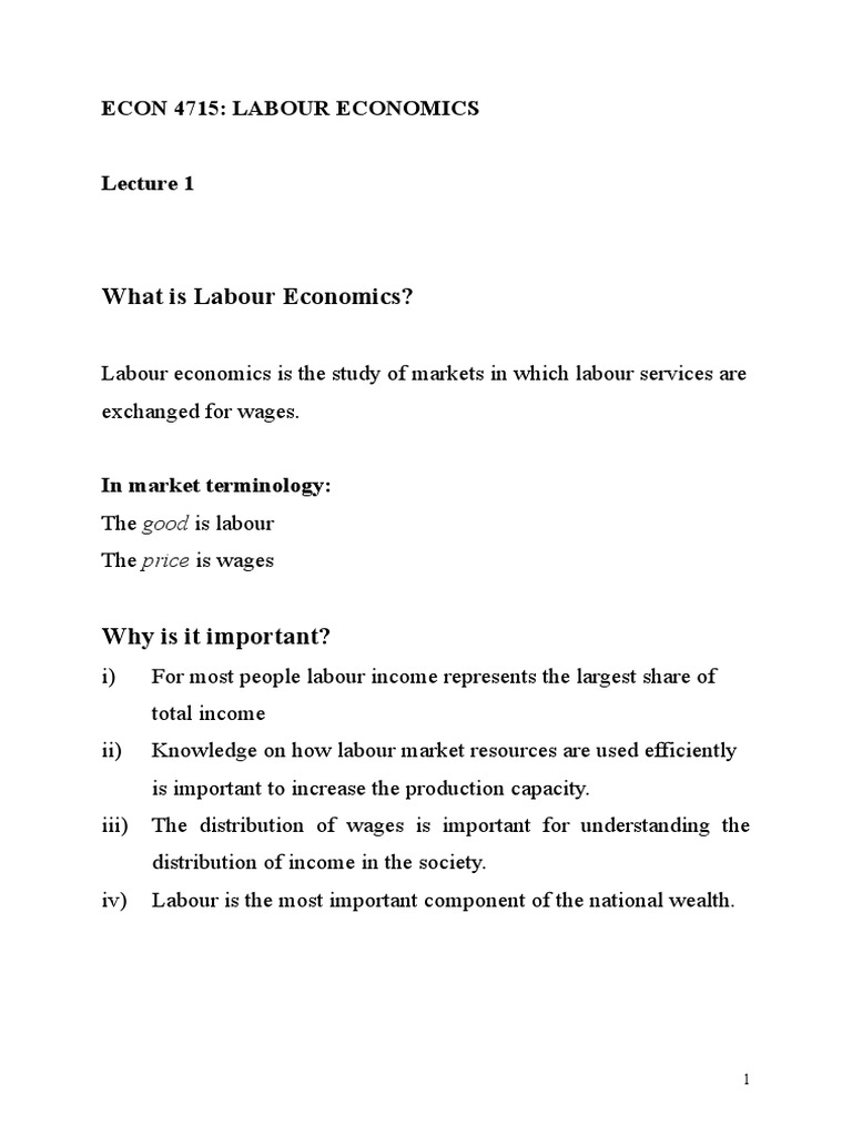 What Is Labour Economics? | PDF | Labour Economics | Economics