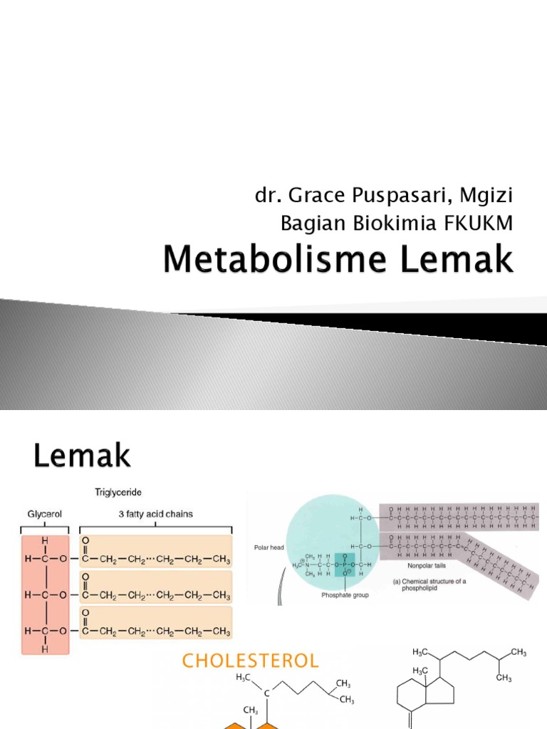 Metabolisme Lemak FK | PDF