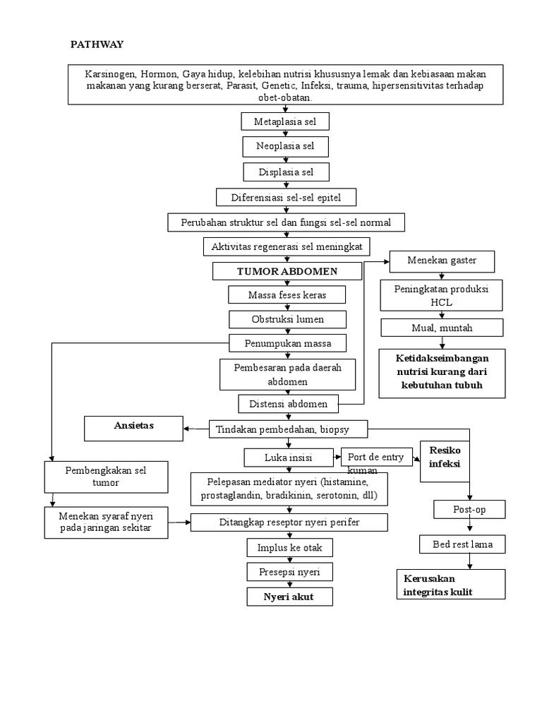 Pathway Tumor Abdomen | PDF