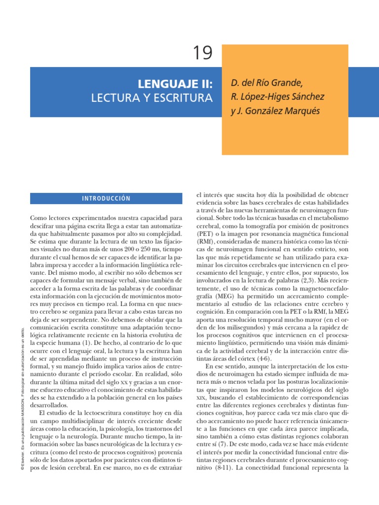 Lenguaje Neuroimagen Lectura y Escritura | PDF | Lectura (proceso) | Hemisferio cerebral