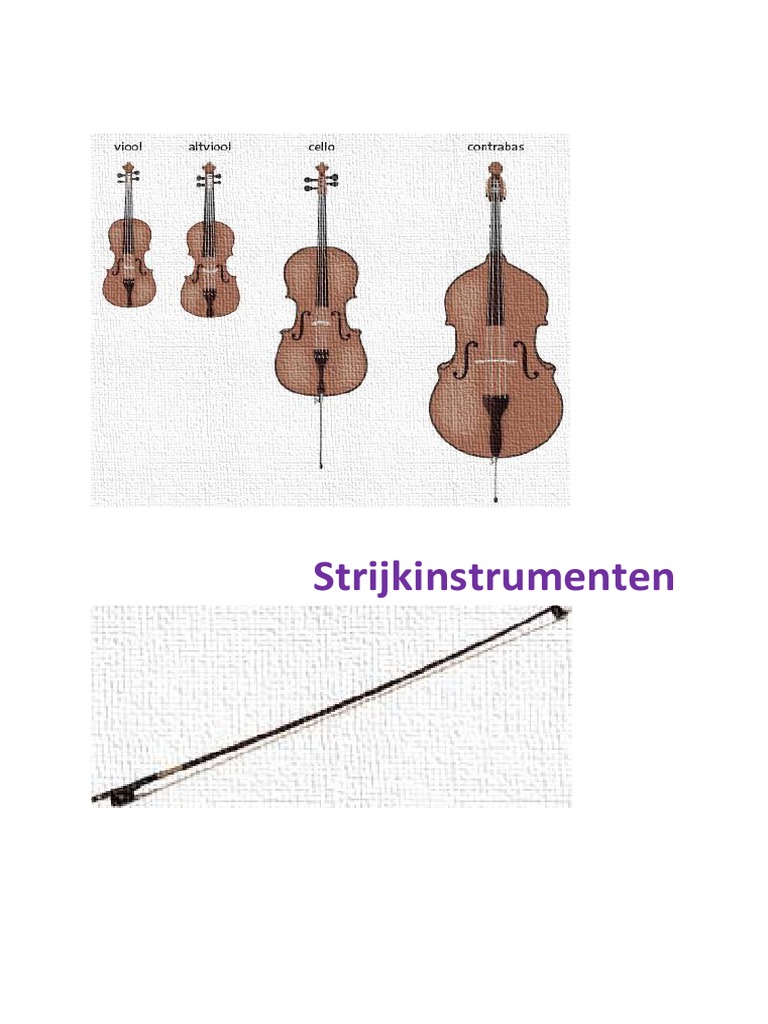 Urska Doler Cursus Strijkinstrumenten | PDF