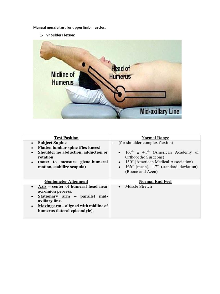 Manual Muscle Test for Upper Limb Muscles | Anatomical Terms Of Motion ...