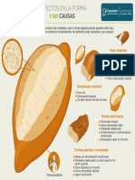 Los Defectos Del Pan | PDF | Panes | Fermentación En Procesamiento De ...
