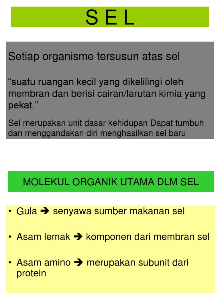 Komponen Protoplasma | PDF
