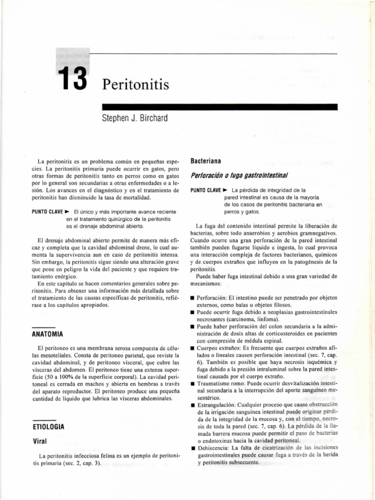 Peritonitis en perros y gatos: causas y tratamiento | PDF | Peritoneo ...