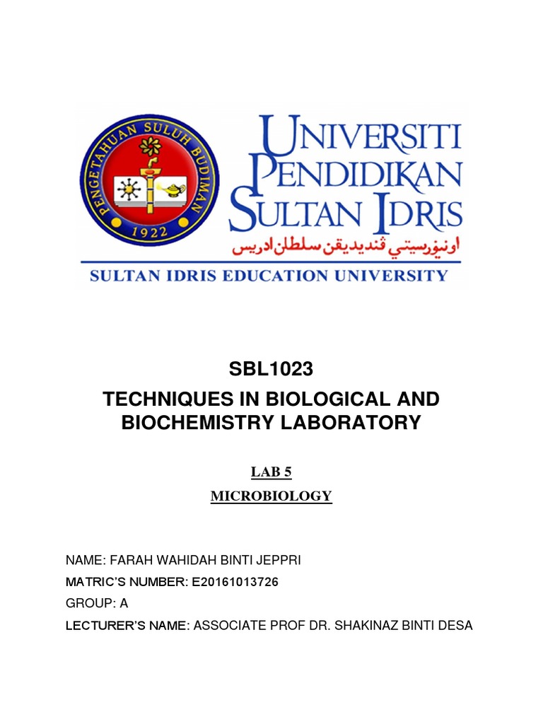 Lab Report 5 Microbiology | PDF | Bacteria | Microorganism