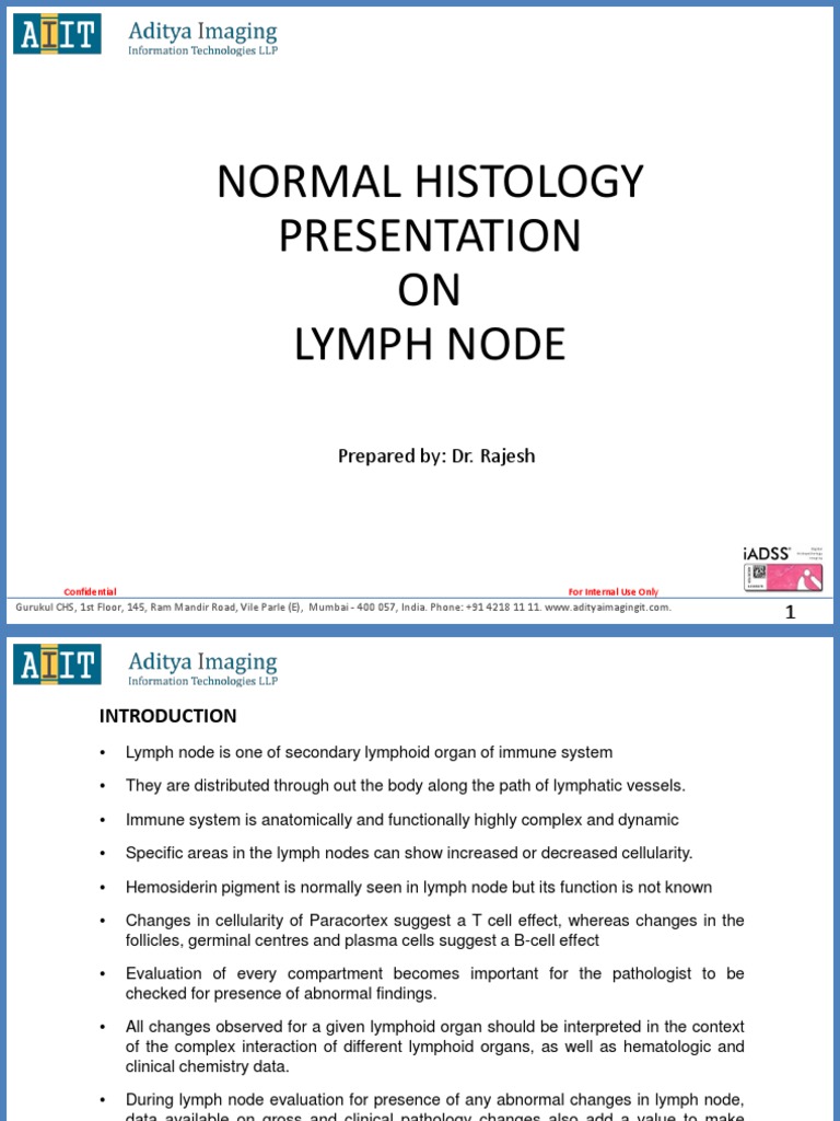 1a Lymph Node - KT | PDF | Lymph Node | Lymphatic System