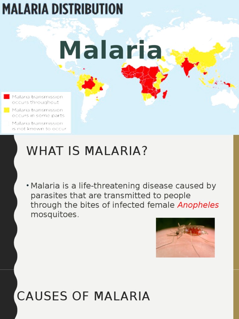Malaria presentation.pptx | Malaria | Plasmodium