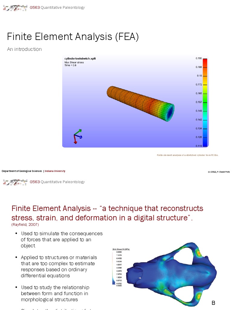 Finite Element Analysis | PDF | Deformation (Mechanics) | Young's Modulus