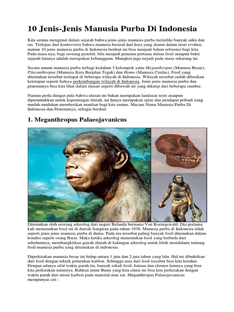 10 Jenis Manusia Purba Yang Ada Di Indonesia Beserta Penjelasannya - Riset