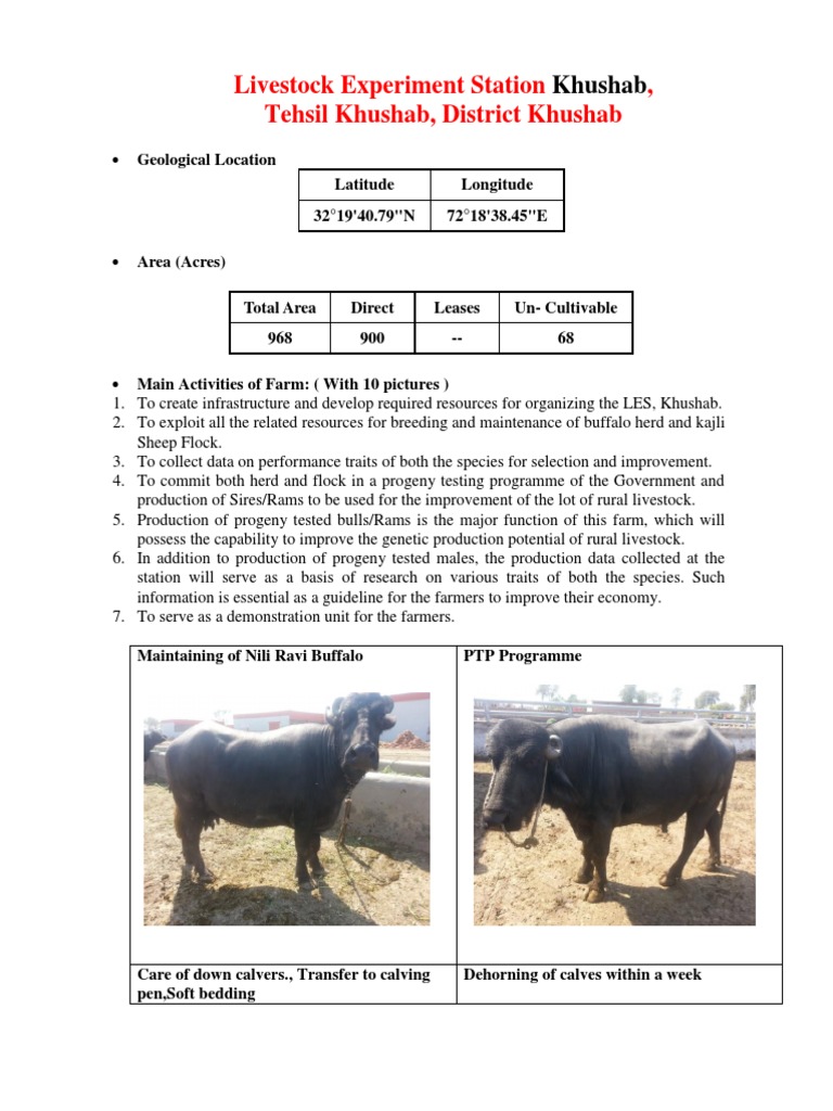 Introduction To Les Khushab Pv3zv | PDF