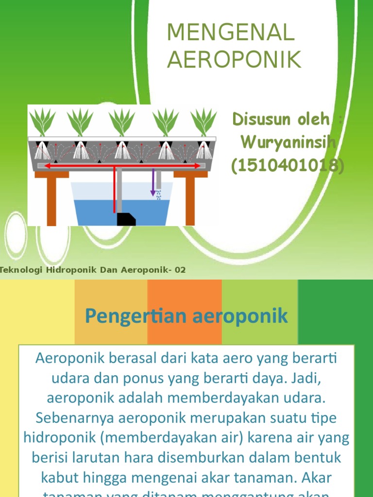 MENGENAL AEROPONIK Wuryaninsih 1510401018 Tek. Hidro &aeroponik-02 | PDF