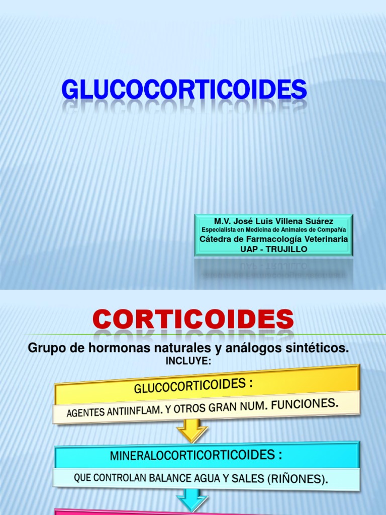 22 Glucocorticoides | PDF | Glucocorticoides | Receptor (Bioquímica)