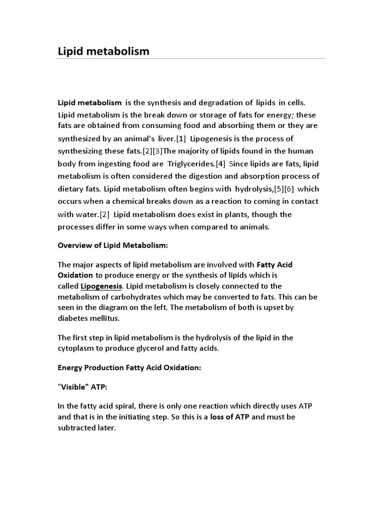 Metabolism of Lipid | PDF