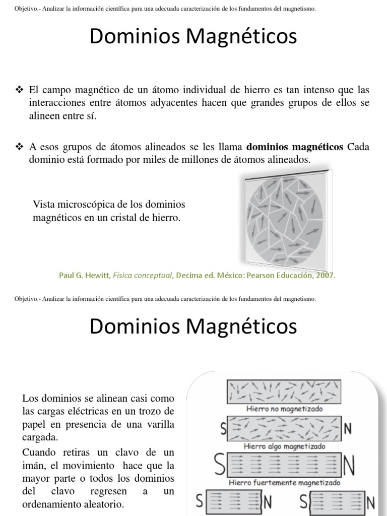 Dominios-Magnéticos.pdf | Magnetismo | Campo magnético
