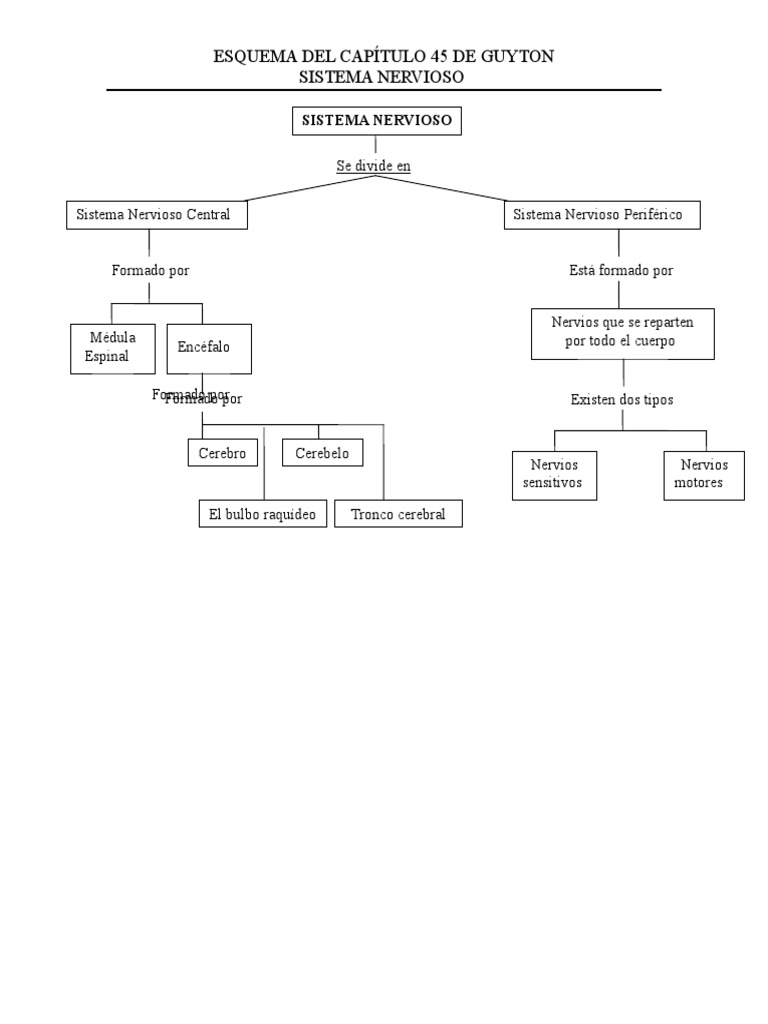 Guyton | Descargar gratis PDF | Sistema nervioso | Sistema nervioso central