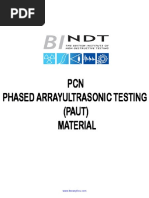 PAUT Interpretation PDF | PDF