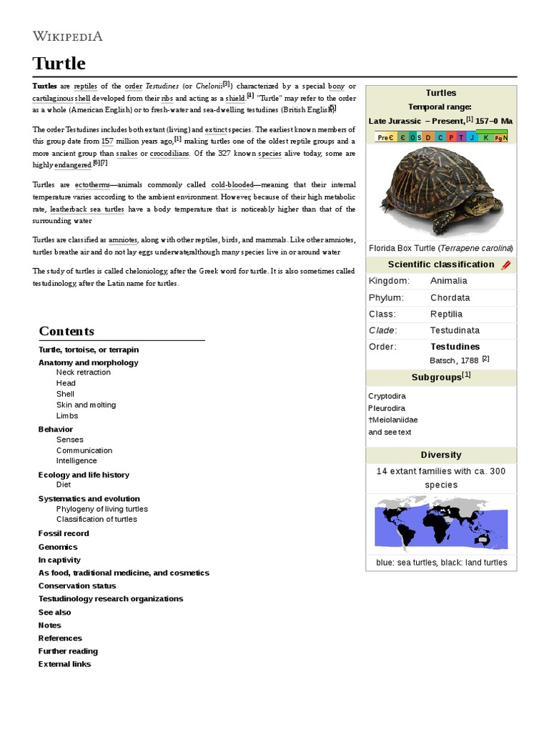Turtle | PDF | Turtle | Reptile