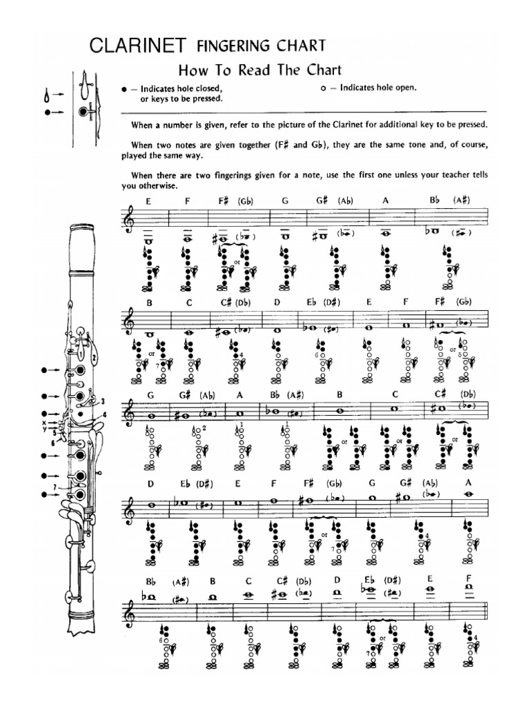 Clarinet Fingering Chart | PDF