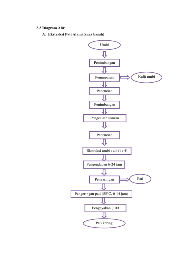 PROSEDUR Pembuatan Pati, Modifikasi Dan Saus Fix | PDF