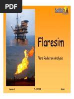 Manual Flare Sim Expro | PDF | Contour Line | Wound