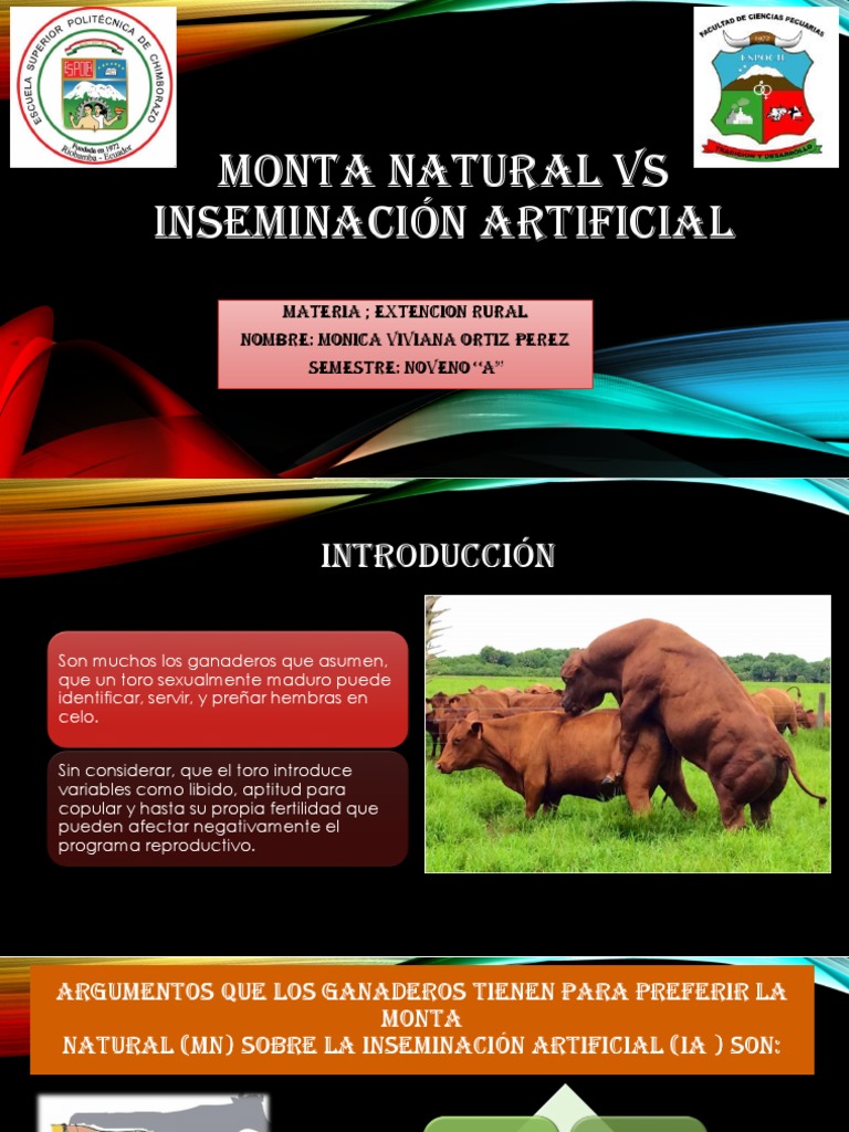 Monta Natural vs Inseminación Artificial | PDF | Vacas | Reproducción