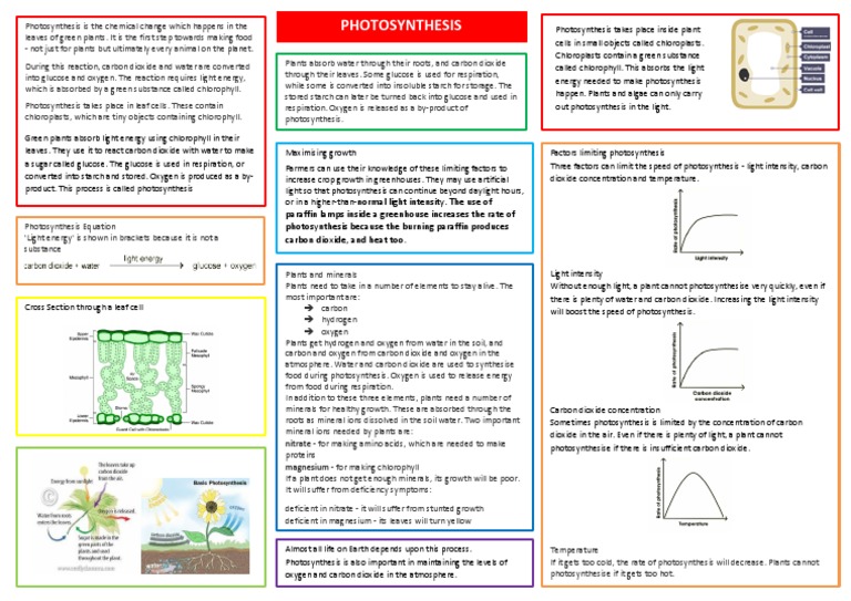 My Photosynthesis Summary Poster March 2016 | Photosynthesis | Plants