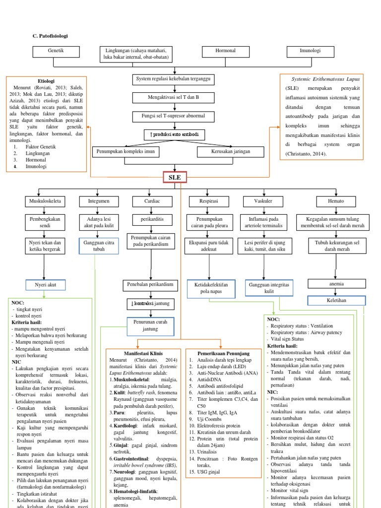 Woc Sle Fix 1 | PDF