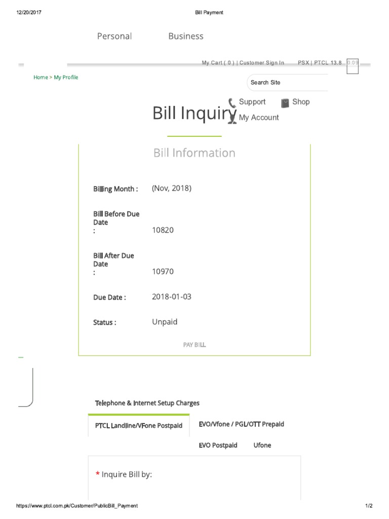 Bill Payment | PDF