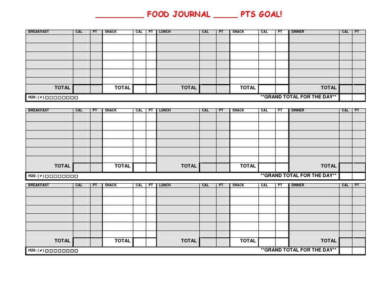 3-Day Food Diary Template | PDF