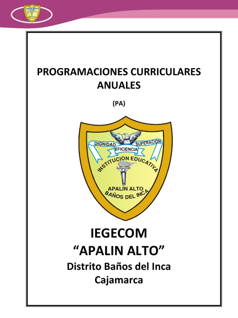 Progrmaciones Anuales APALIN 2009 | PDF | Evaluación | Literatura infantil