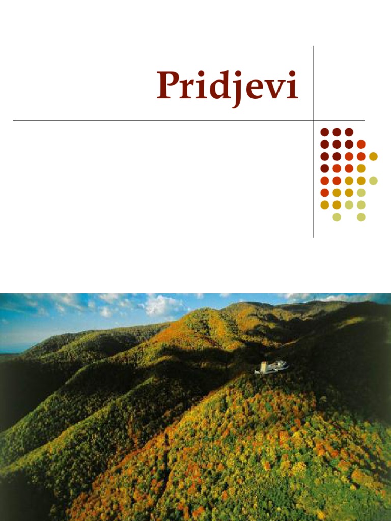 Pridjevi | PDF