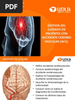Deterioro Rostrocaudal: Etiología | PDF | Medicina | Sistema nervioso